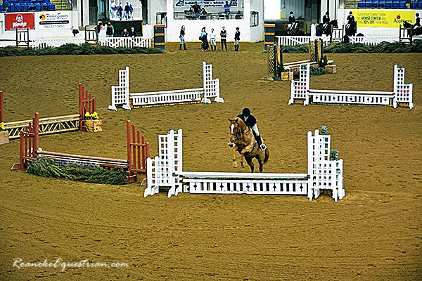 Stonewall Country Horse Show celebrates 25 years at Virginia Horse ...