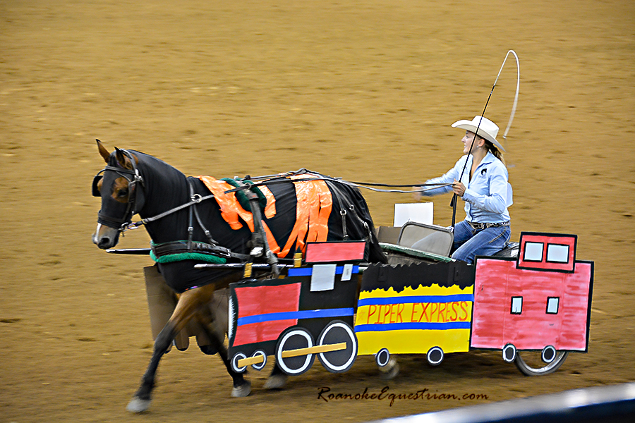 Virginia shows Extreme Mustang Makeover isn’t just for cowboys ...