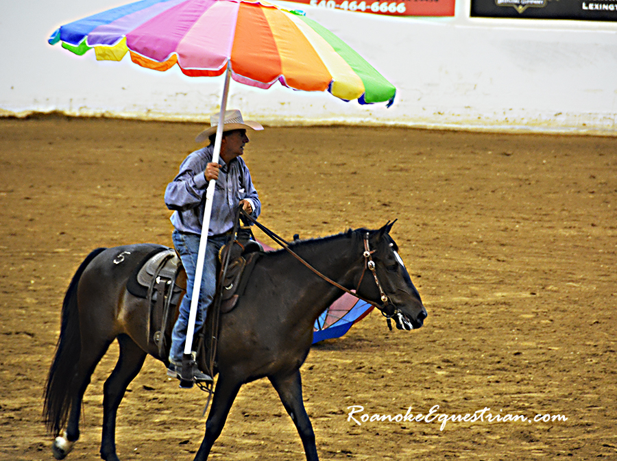 Virginia shows Extreme Mustang Makeover isn’t just for cowboys ...