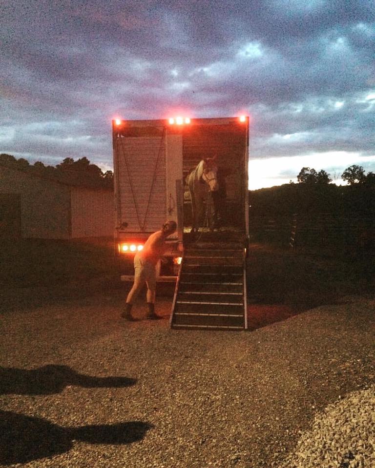 New Freedom Farm making dream of healing humans through horses a ...