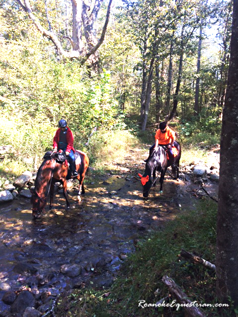 It doesn’t get more perfect: Fleetwood Community Center Trail Ride is a ...