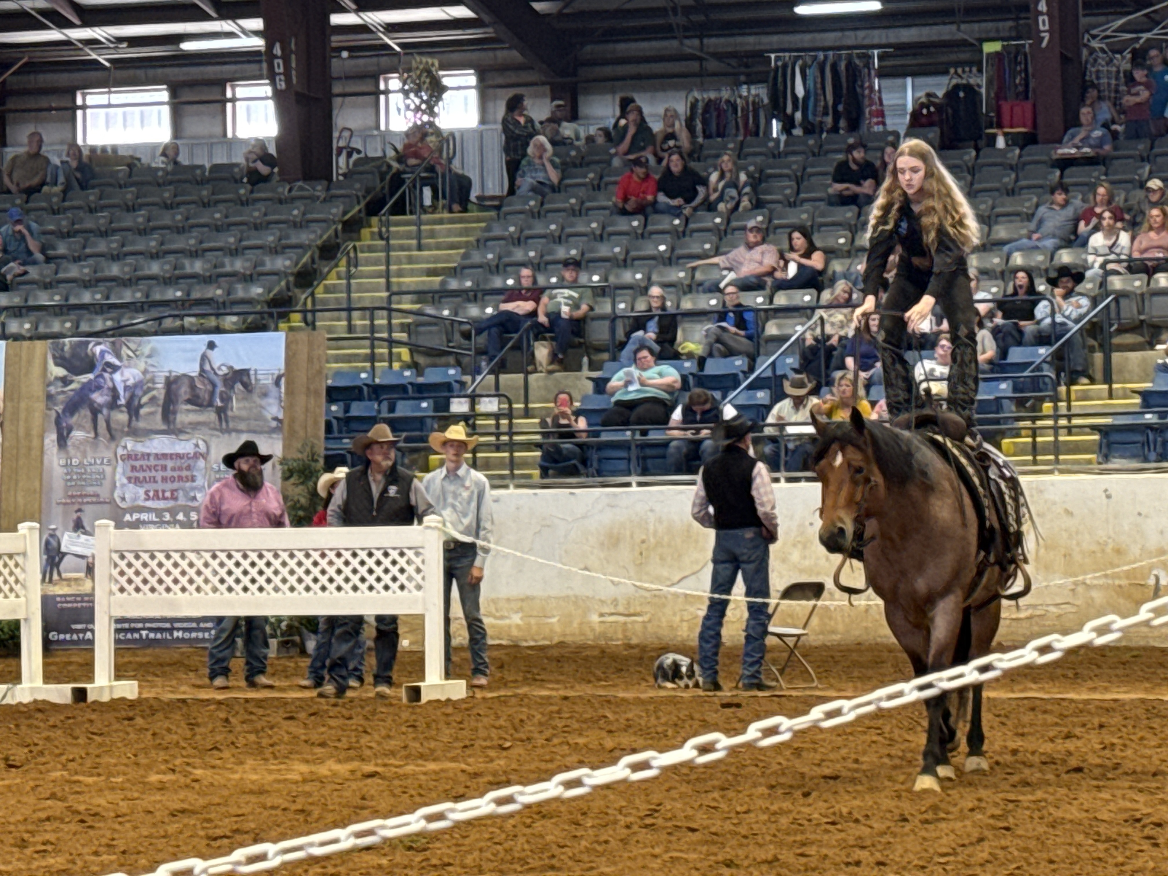 Great American Ranch and Trail Horse Sale highlights thriving market ...